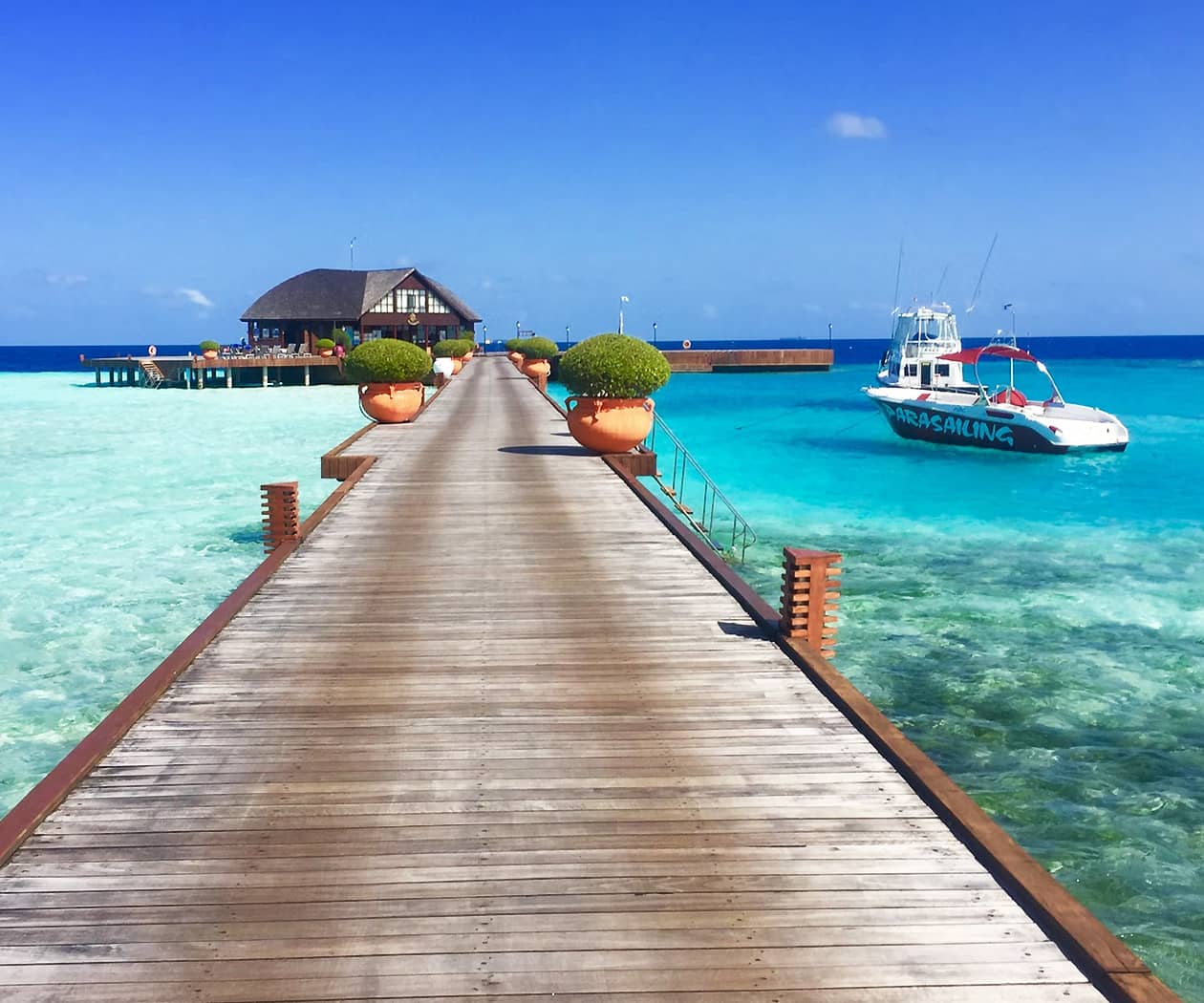 Discover Weed in Gold Coast - Exploring Natural Growth